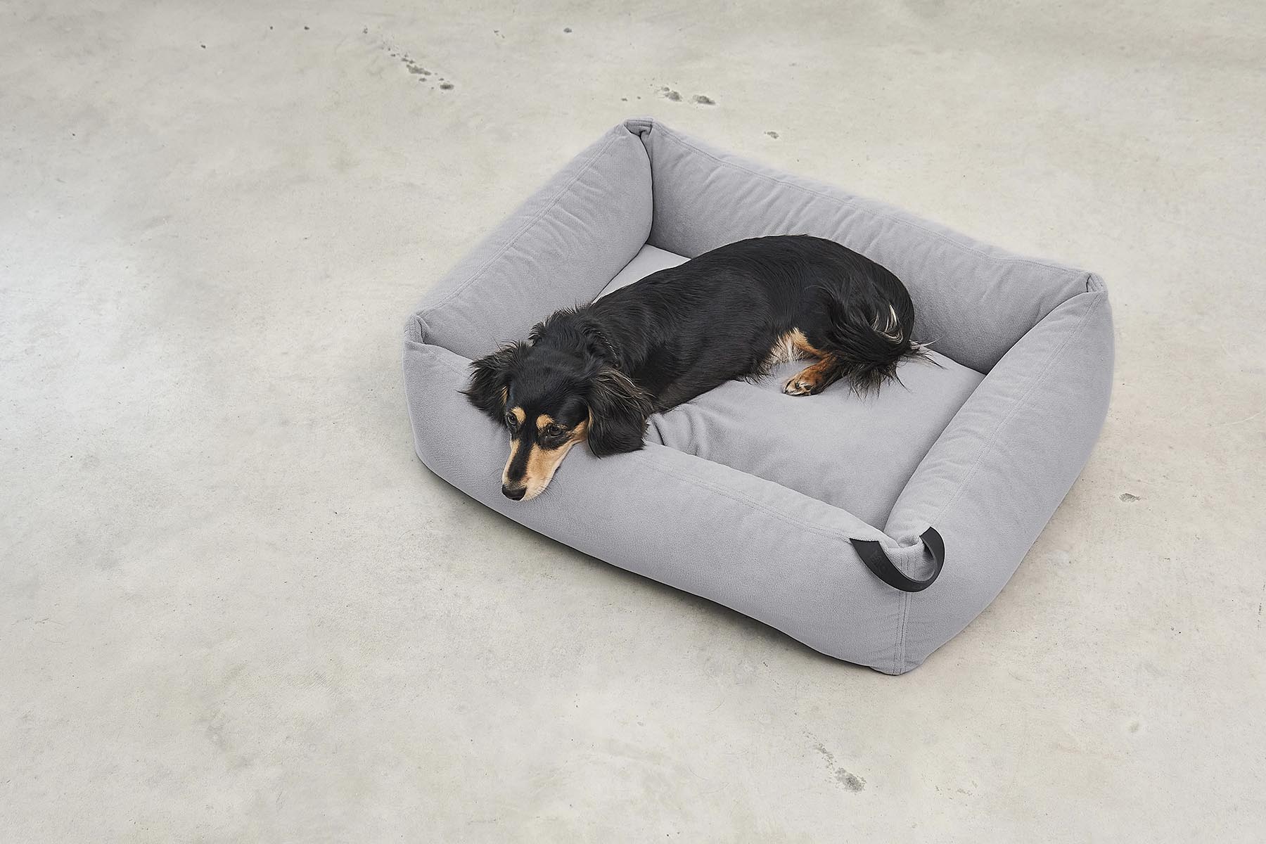 Comodo Dog Bed Sage(Sage): MiaCara Online Store｜JAL Mall｜マイルがたまる・つかえる ...