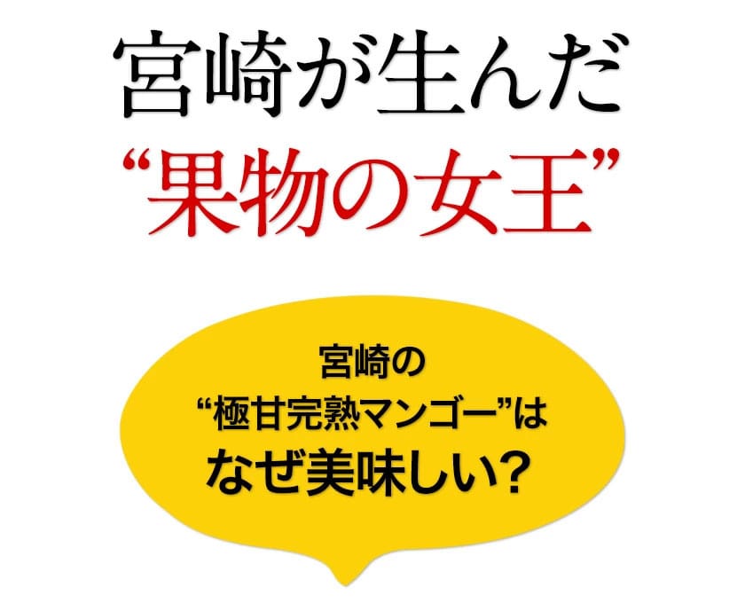 \マイルアップ／ 宮崎県産 完熟マンゴー マンゴー 2玉 化粧箱入り (Lサイズ:約310g～約349g) 送料無料 健康 ギフト プレゼント フルーツ 食べ物 贈答 スイーツ お取り寄せ お ...